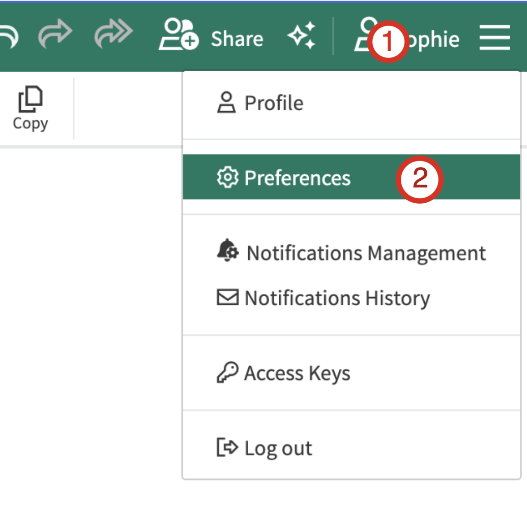 Worksheet Preferences